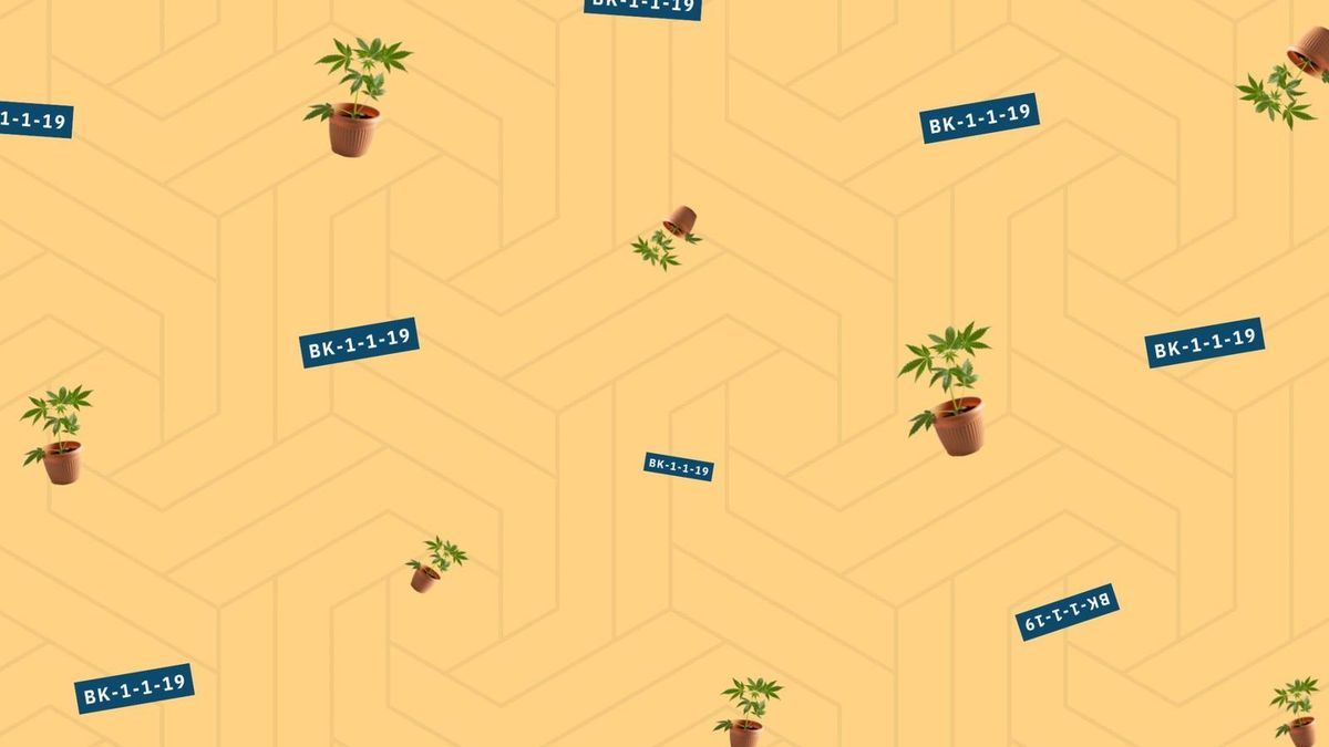 Cannabis Batch Tracking System | GrowerIQ