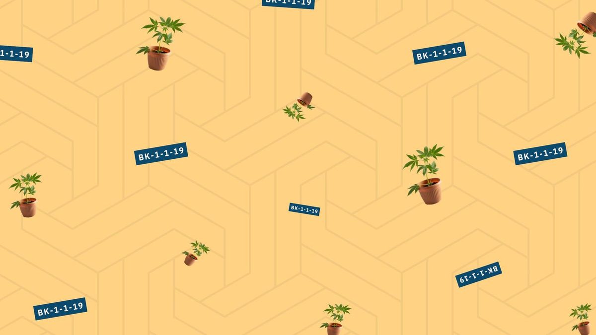 Batch Tracking: The Importance of a Cannabis Batch Tracking System