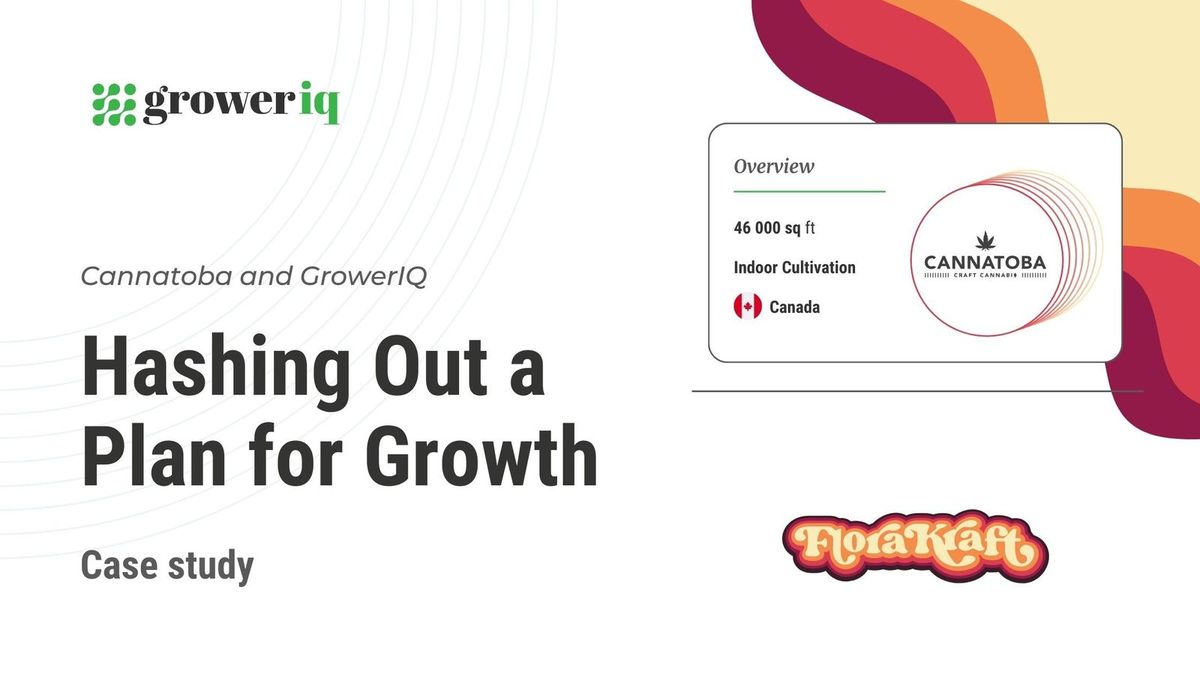 Hashing a Plan for Growth | Cannatoba and GrowerIQ Case Study